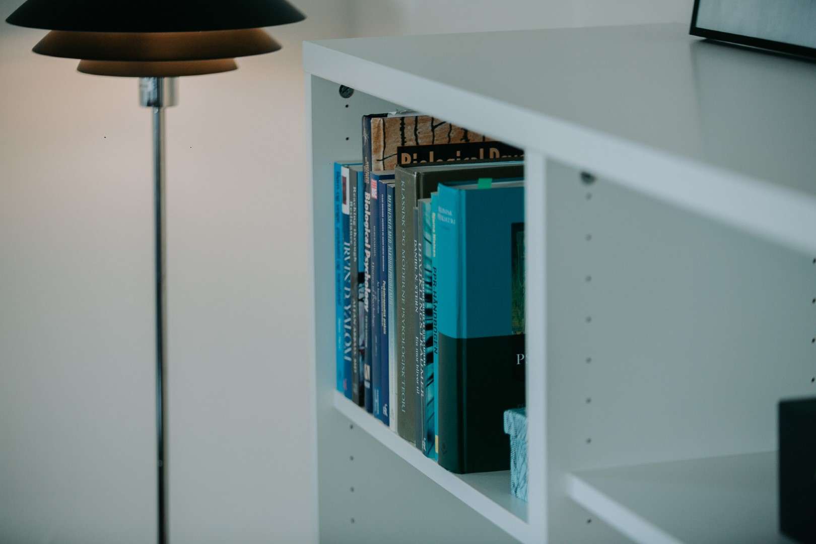 Misbrug og Afhængighed | Få professionel hjælp nu | PISMO